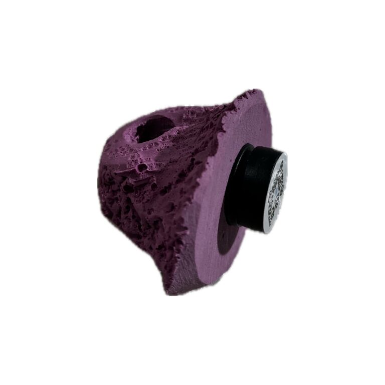 Discover Live Coral Frag Plug On Rocks And Magnetics